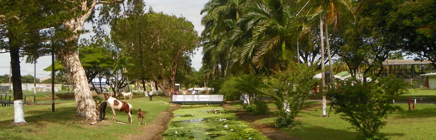 National Park – Protected Areas Commission