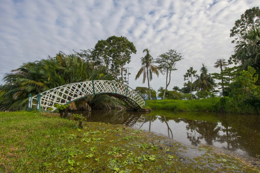 Botanical Gardens – Protected Areas Commission