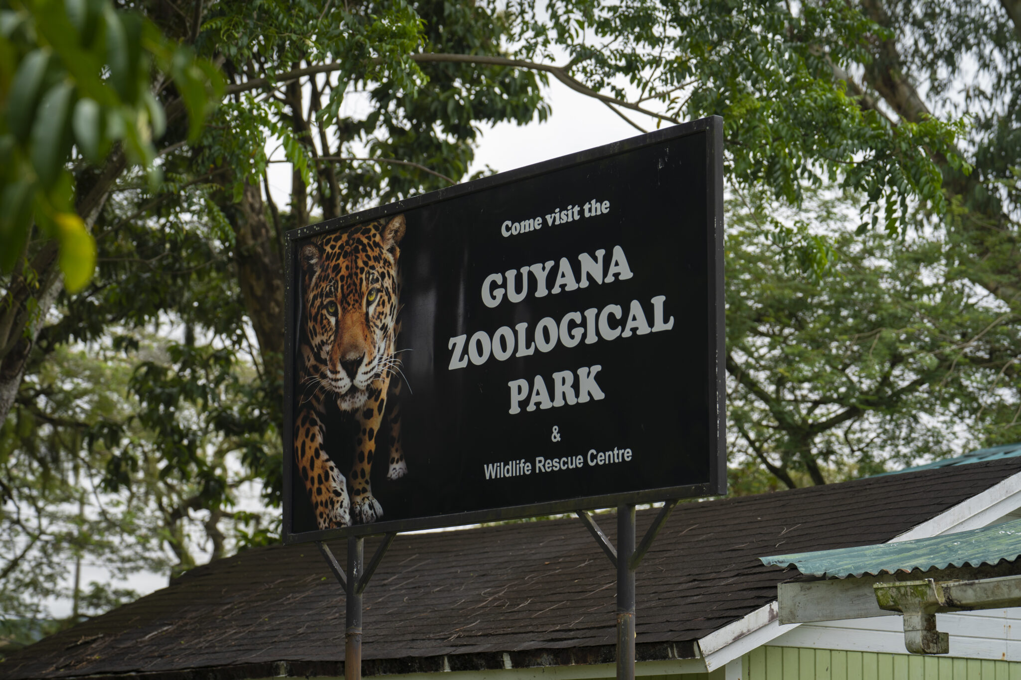 Guyana Zoological Park & Wildlife Rescue Center – Protected Areas ...